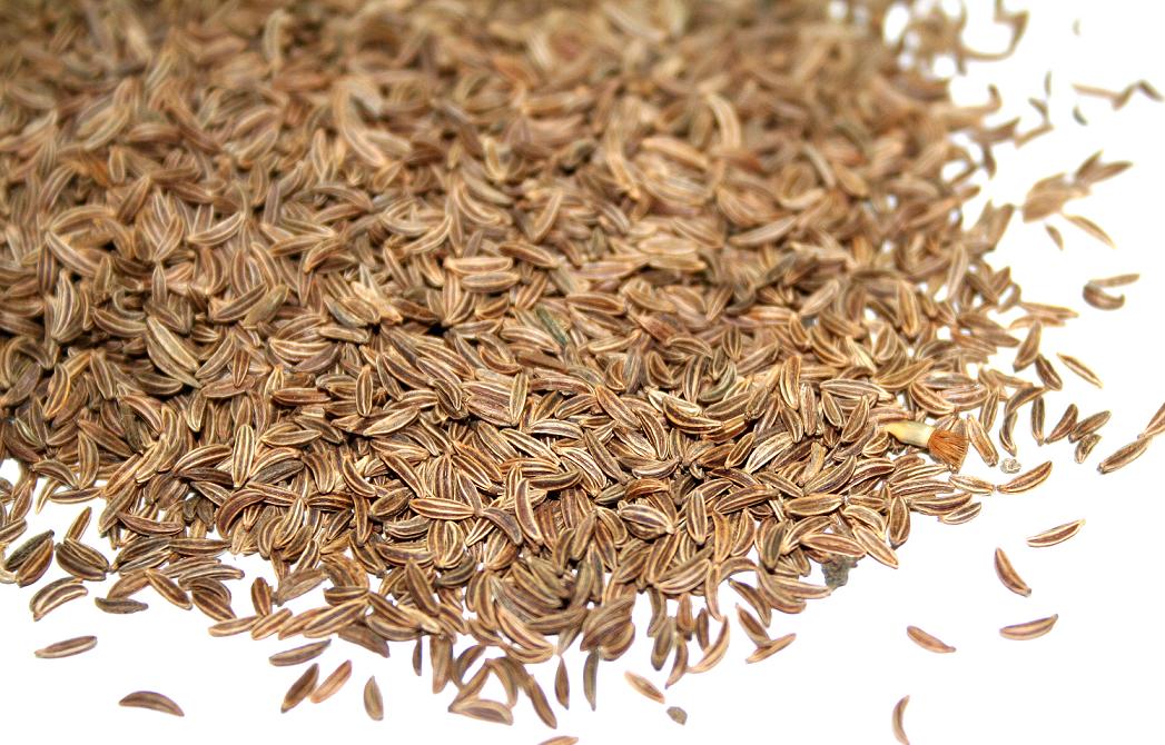 Guia de Tempeos: Kümmel - Menu Criativo - Receitas