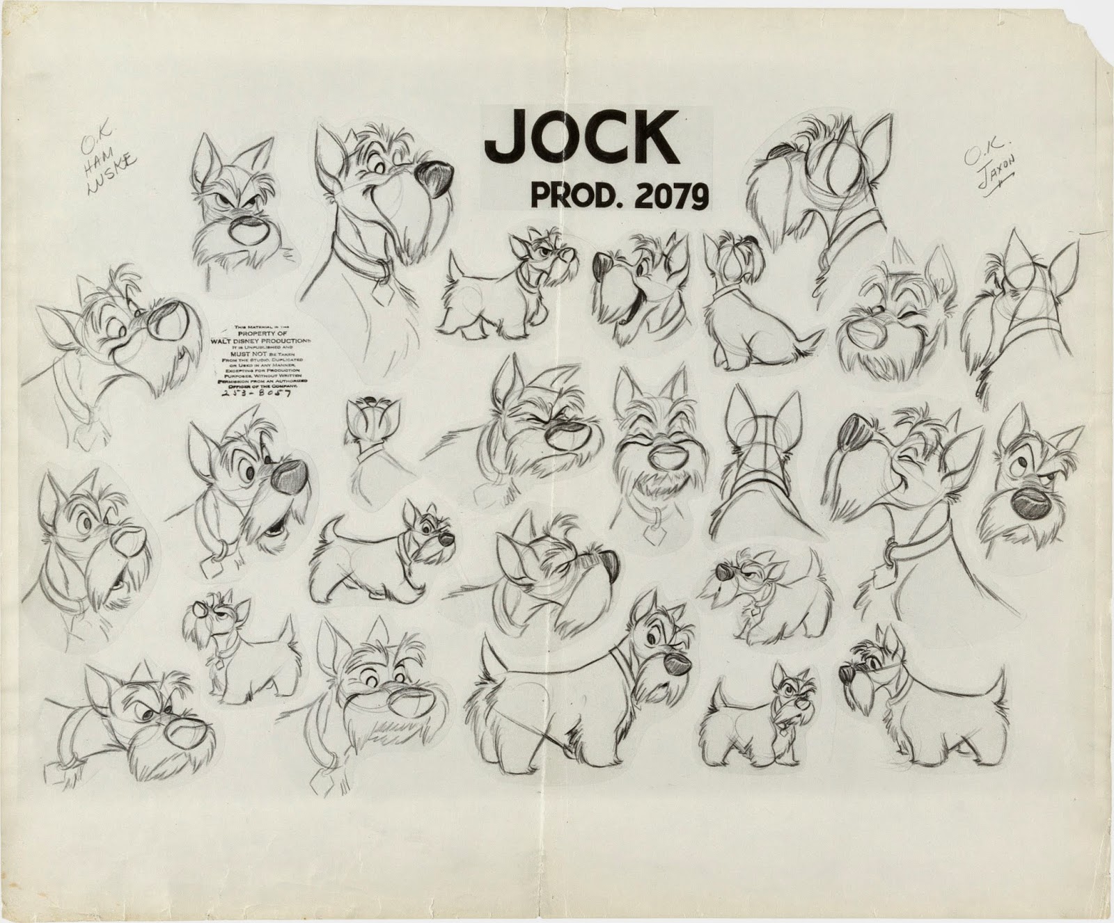 Animopus: Model Sheets: Lady and the Tramp