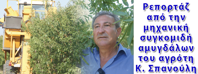 ΡΕΠΟΡΤΑΖ ΑΠΟ ΤΗΝ ΜΗΧΑΝΙΚΗ ΣΥΓΚΟΜΙΔΗ ΑΜΥΓΔΑΛΩΝ ΤΟΥ ΚΩΣΤΑ ΣΠΑΝΟΥΛΗ ...