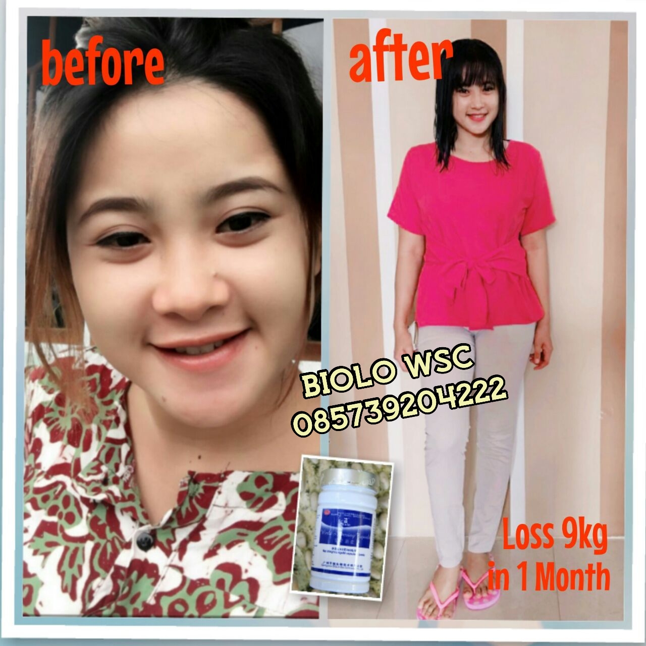 WSC BIOLO Agen Resmi Denpasar Bali