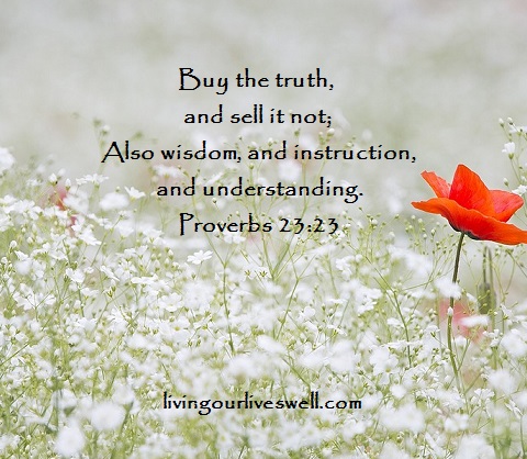 Living Our Lives Well: Proverbs 23 Scripture Pictures