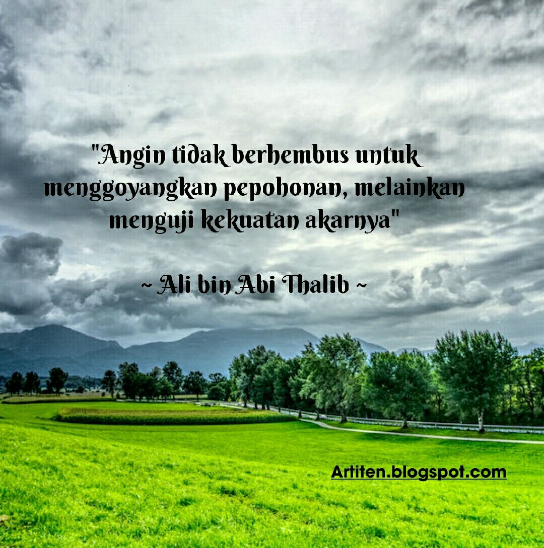 Kata Motivasi Ali Bin Abi Thalib - Katarindu