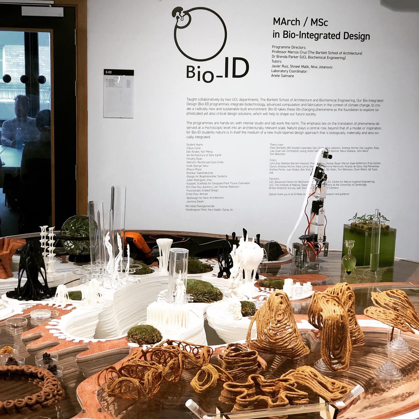 Marcos Cruz Architect