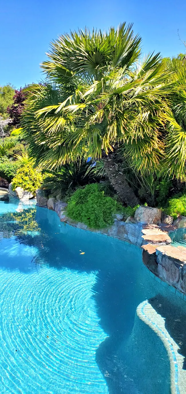 Spring Projects and Blooms | Life and Linda