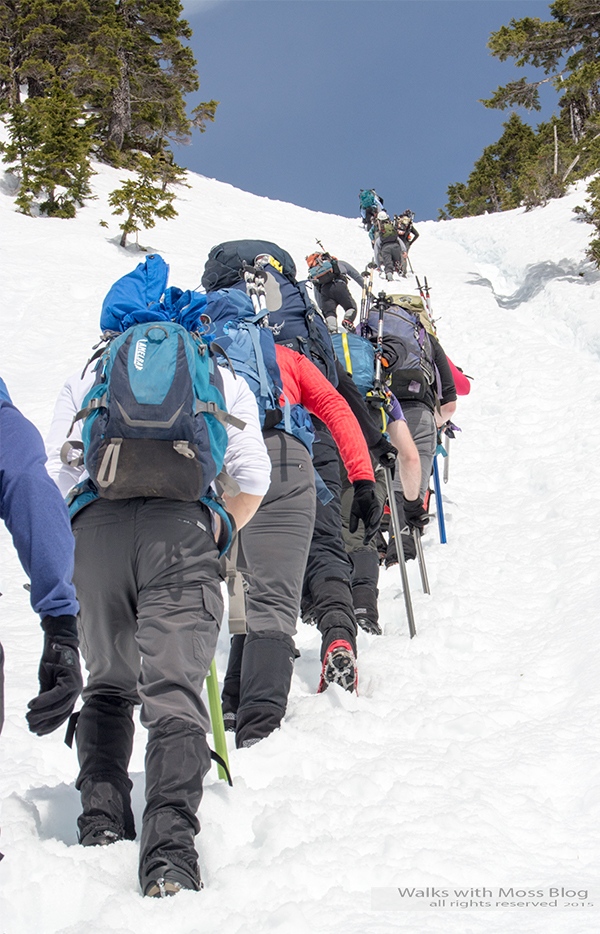 Walks with Moss: Ellinor Winter Glissade with the PWC and Mount Walker