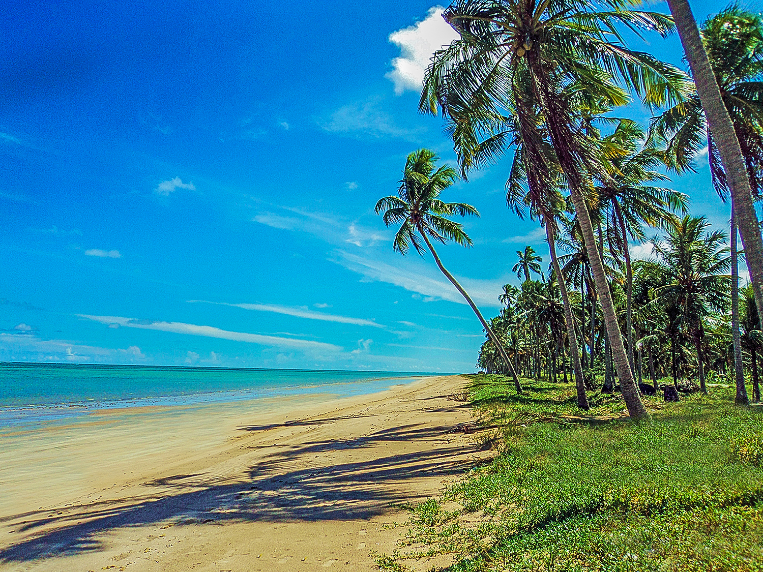 Paraíso Alagoas: Praia de Maragogi - Alagoas