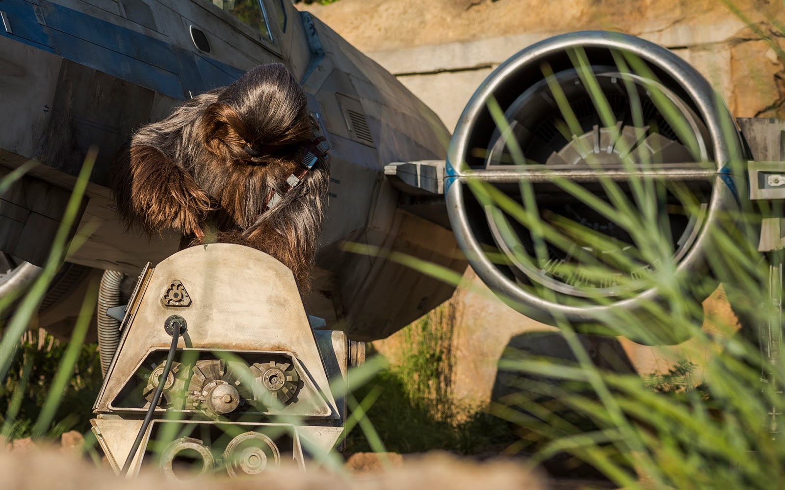 Chewie on Batuu