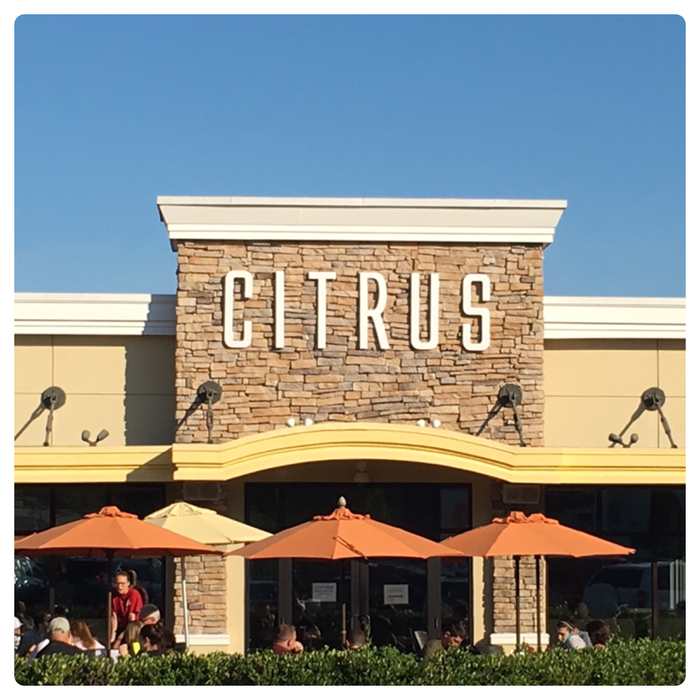 A Taste At Citrus