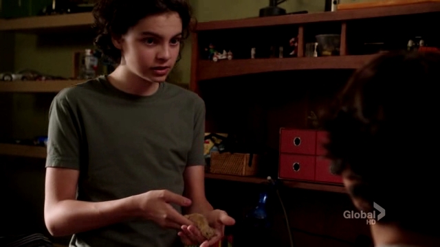 bamdvd: Parenthood - Season 4