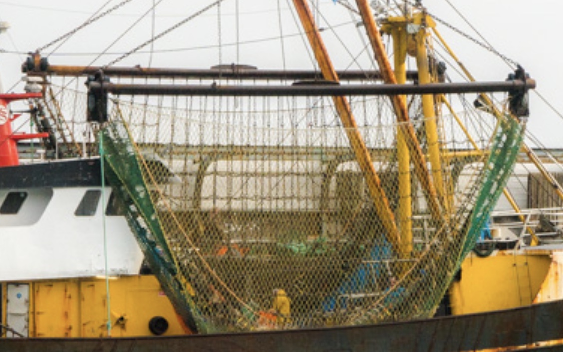 Through the Gaps! - Newlyn Fishing News: The three main types of bottom ...