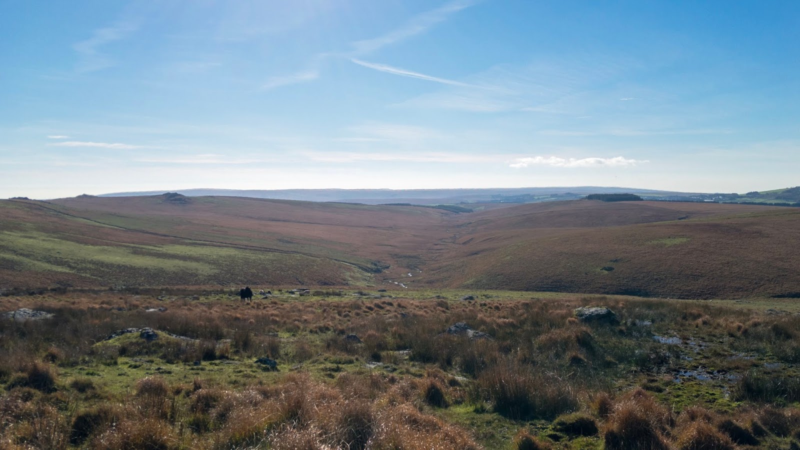 Max Piper - Tor Bagger: Dartmoor: The Tors and Rocks out of Holming Beam