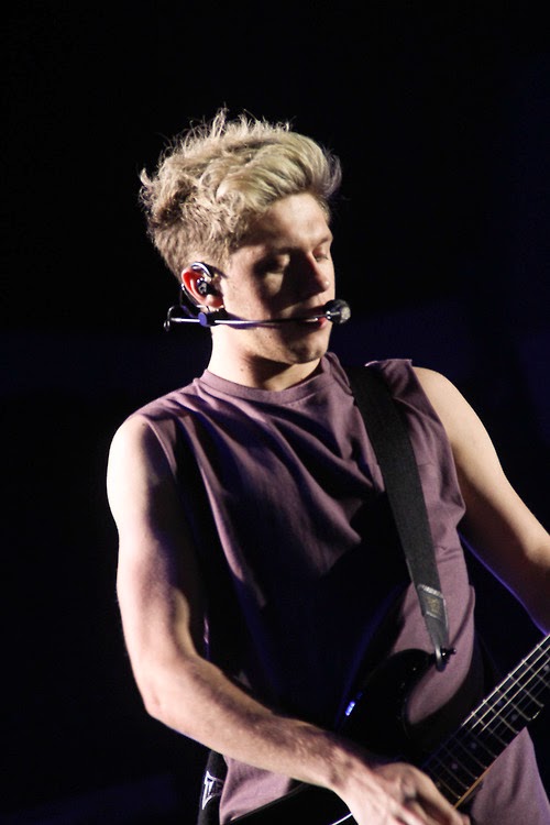 One Direction Girls ♥: Concierto en Santiago de Chile.-Where We Are ...