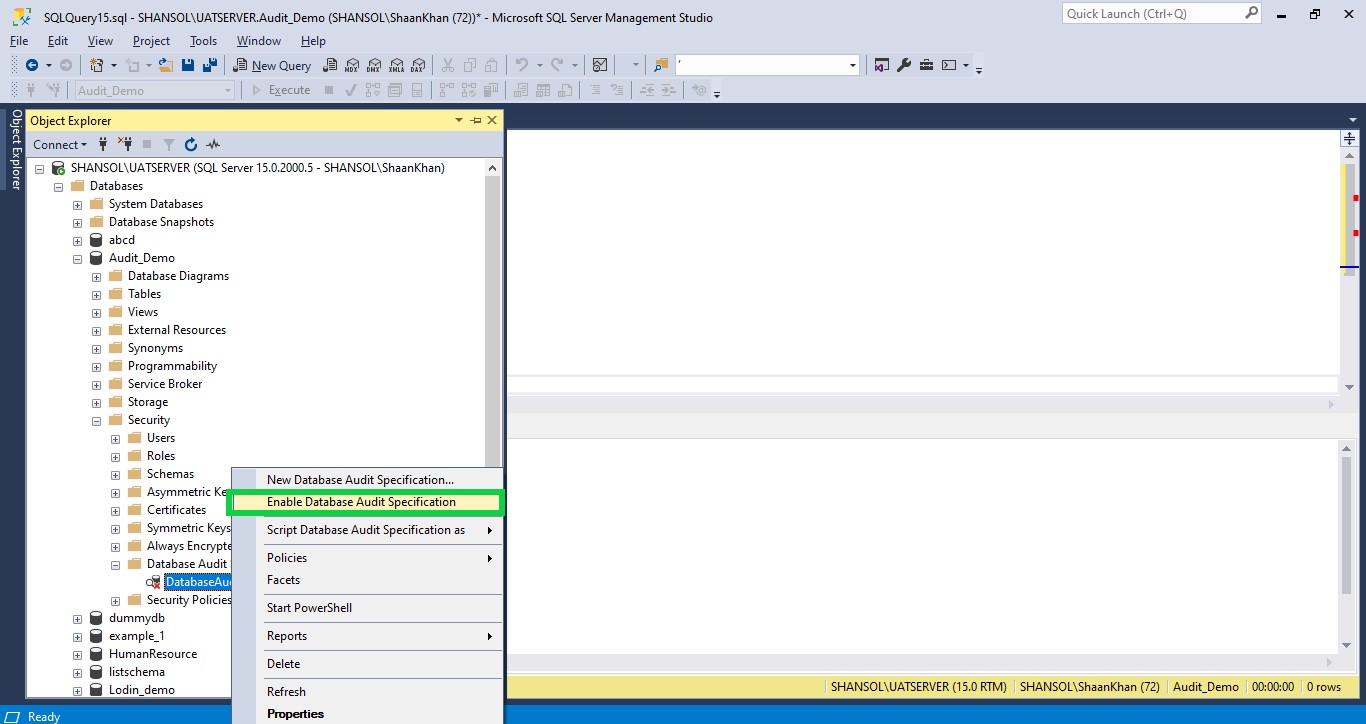 SQL Tutorials: Database-audit-step-by-step