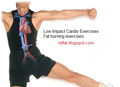 Low Impact Cardio Exercises | Fat burning exercises