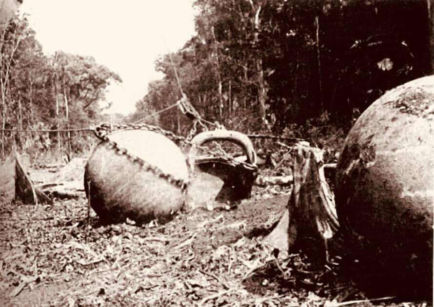 Costa Rica retrocede 75 años con el permiso que le otorga Setena y el ...