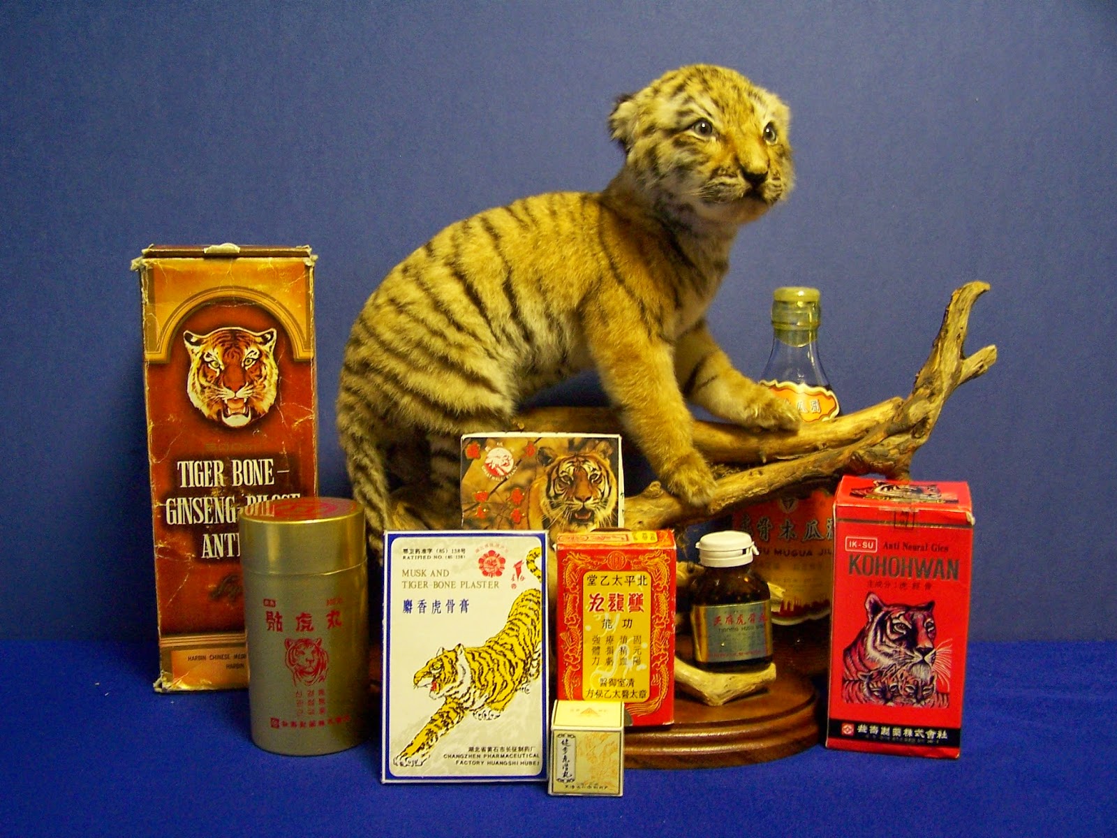 2015 ~ Wildlife on earth