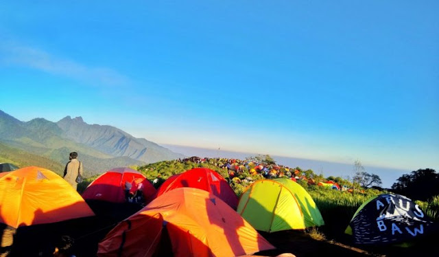 Gunung Pundak Pacet, Cocok Bagi Pendaki Pemula, Manula, dan Keluarga