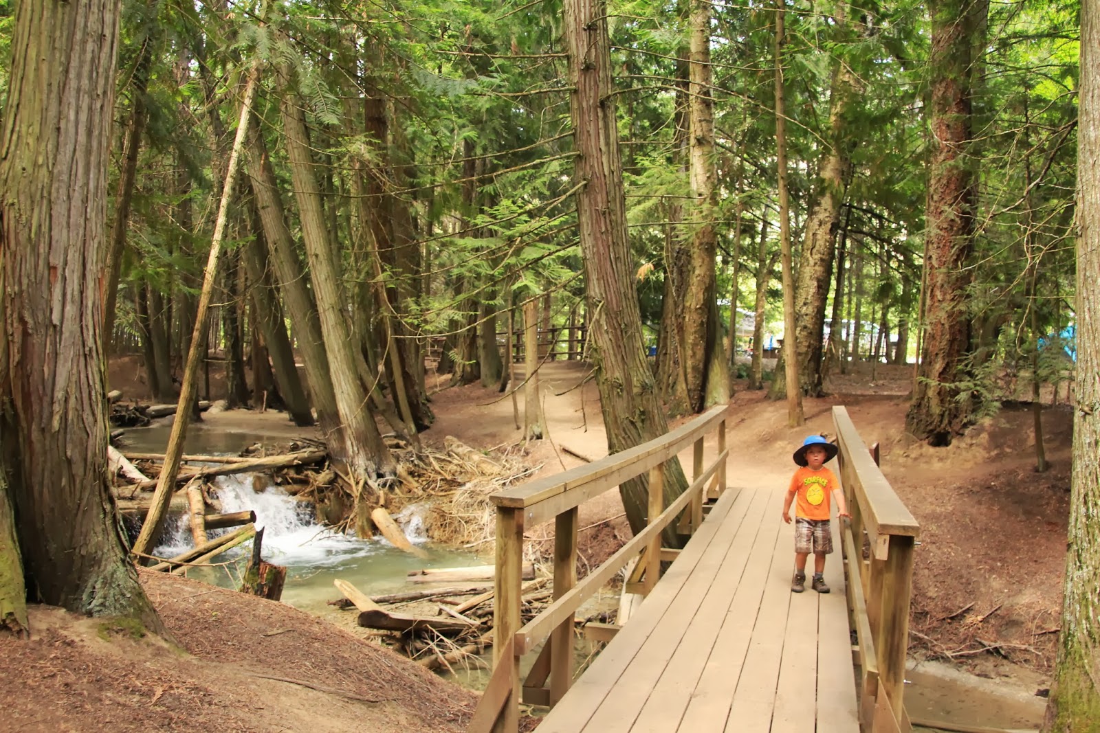 Family Adventures in the Canadian Rockies: Camping across British ...
