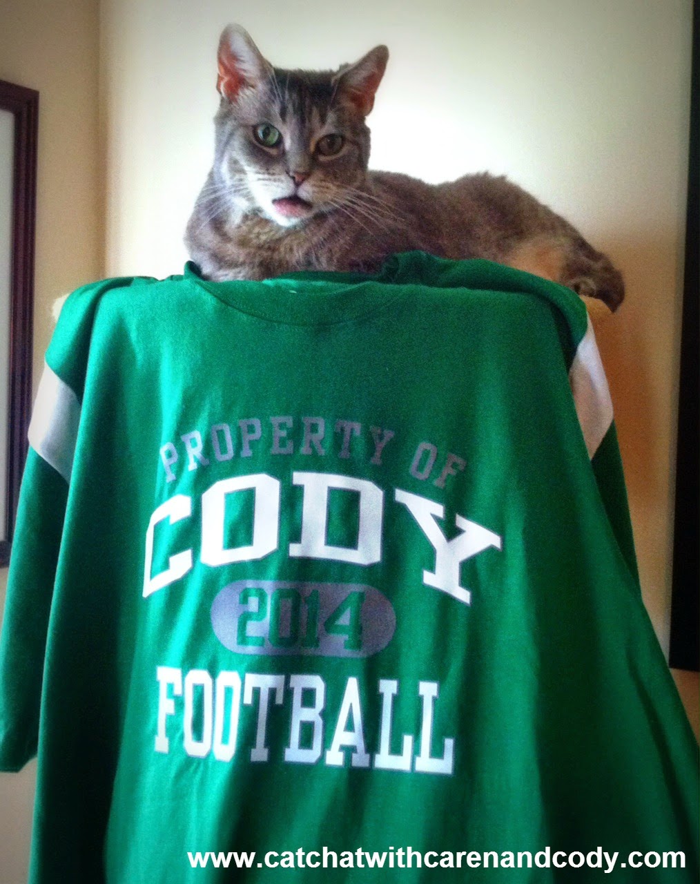 Cat and DOG Chat With Caren: Are you ready for some Football? FELINE ...