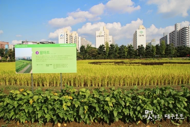 [Daegu Fair] Farming in the city! The Third Korea Urban Agriculture ...