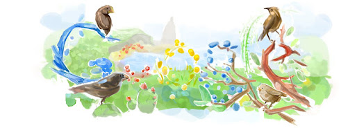 Geração Verde Portugal: Charles Darwin : A Evolução de Darwin ...