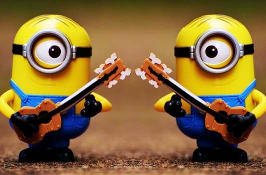 Download Free Funny Photo Gallery, Funny Stuff Funny Animal Pictures