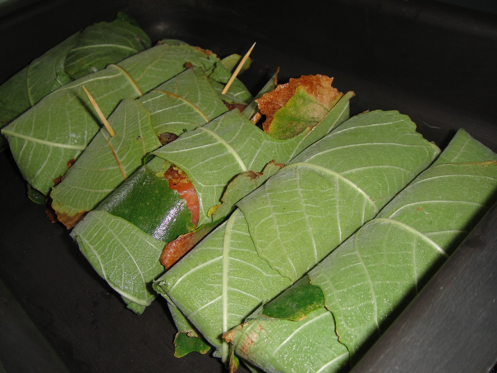 Maryam's Culinary Wonders: 196. Salmon Fillet in Fig Tree Leaf