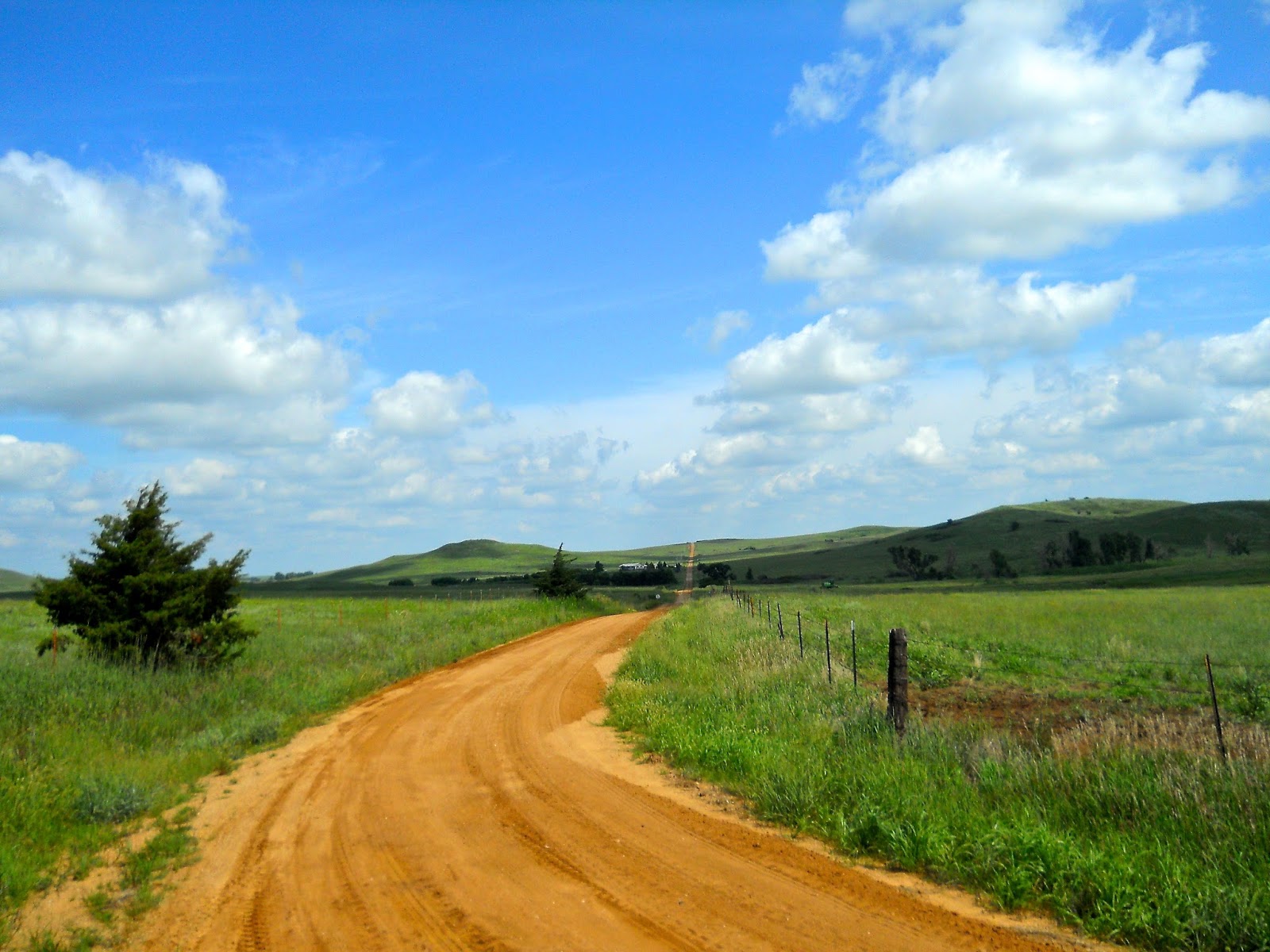 A Kansas Prairie Garden: Venturing north