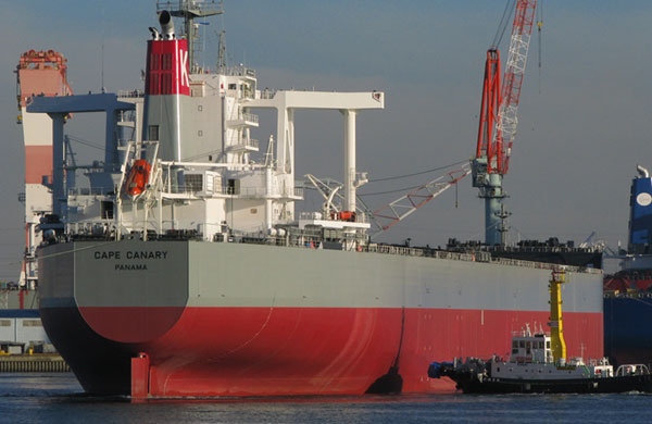 m/v Cape Canary ~ Mighty-Ships.com