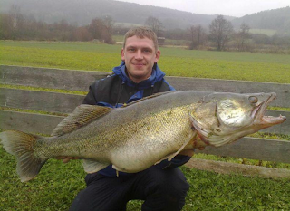 International Fishing News: GERMANY: huge zander landed