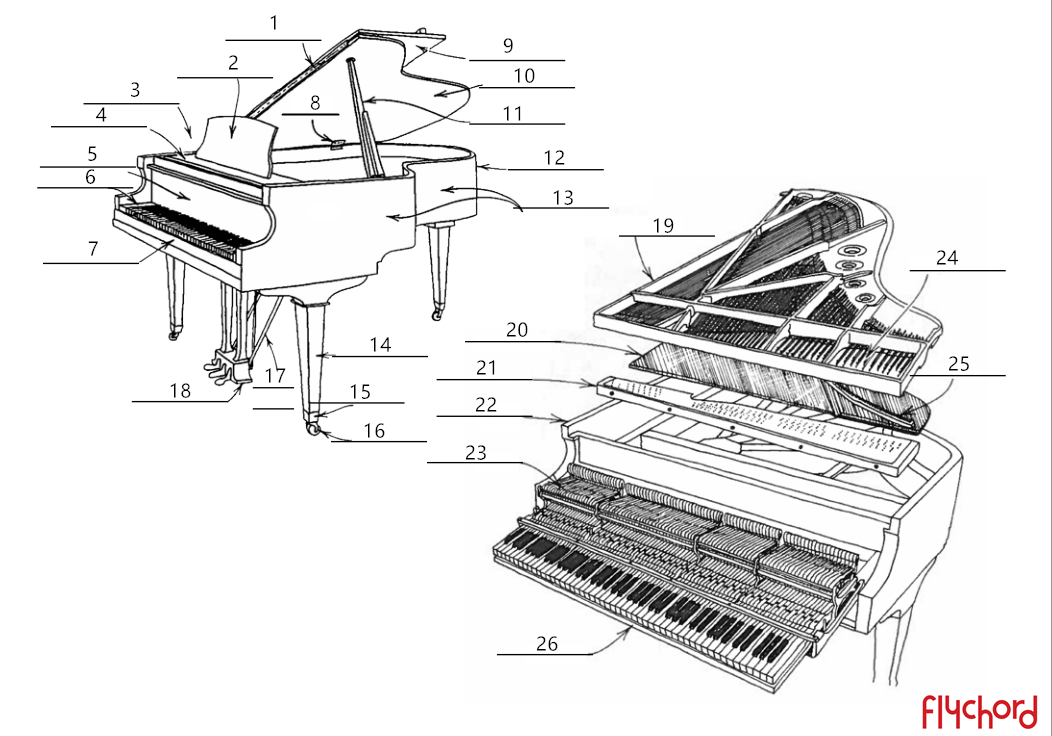 Flychord Digital Piano