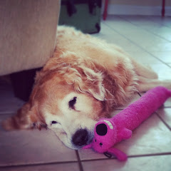 constantly lovestruck: so much fun