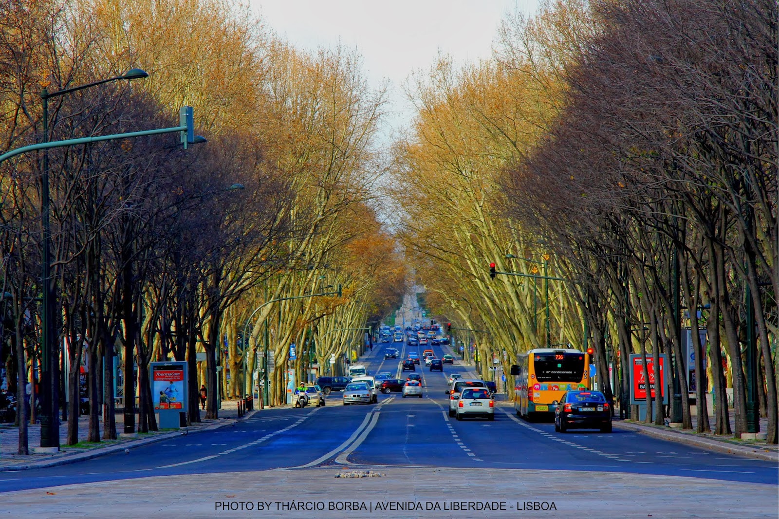 TB Fotografias: Avenida da Liberdade - Lisboa