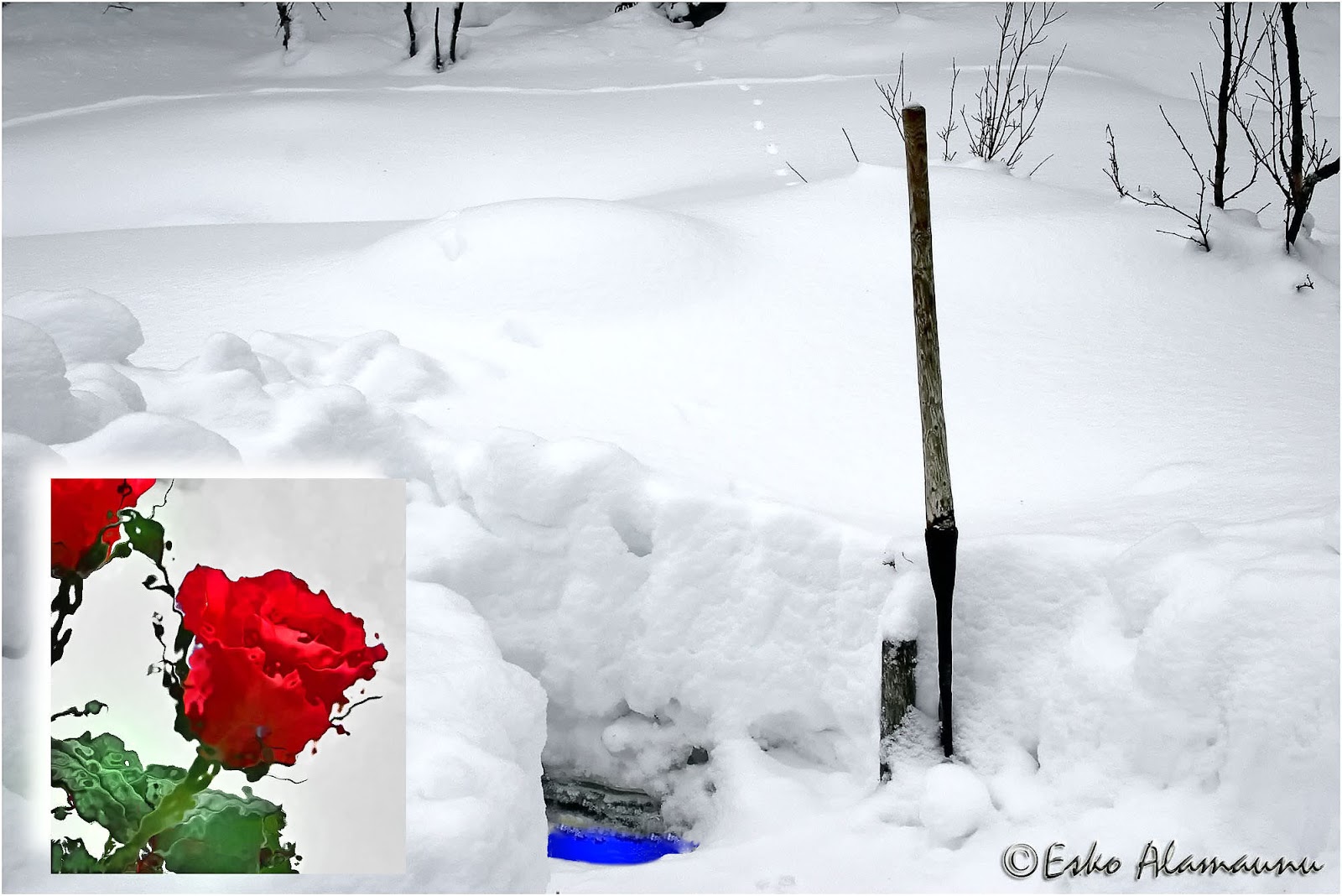 Eko-Kuvia: *TUURA* - avannontekijän 'ystävä'...