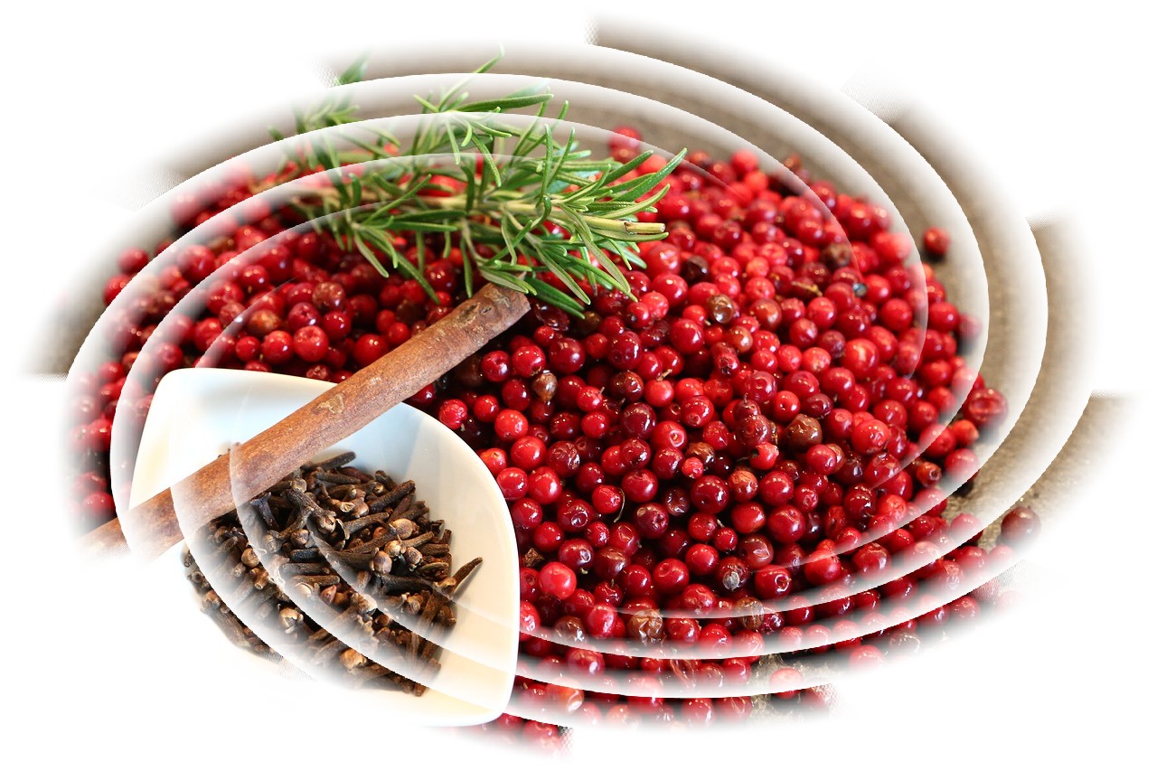 Vorratshaltung, Garten, Kochen, Rezepte, Gesundheit, Dekoideen ...