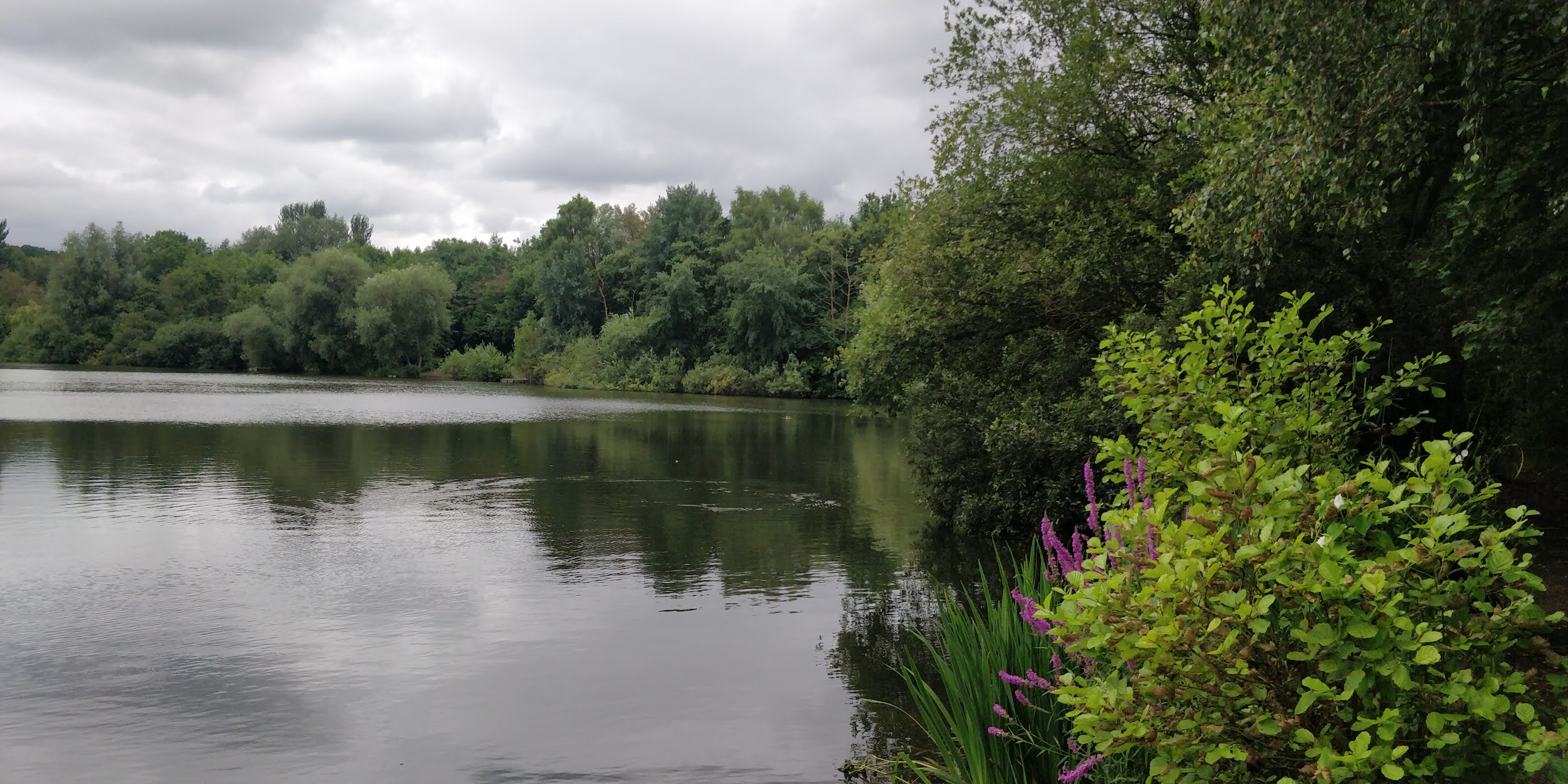 Bits of Birdwatching Stuff: Mersey Valley