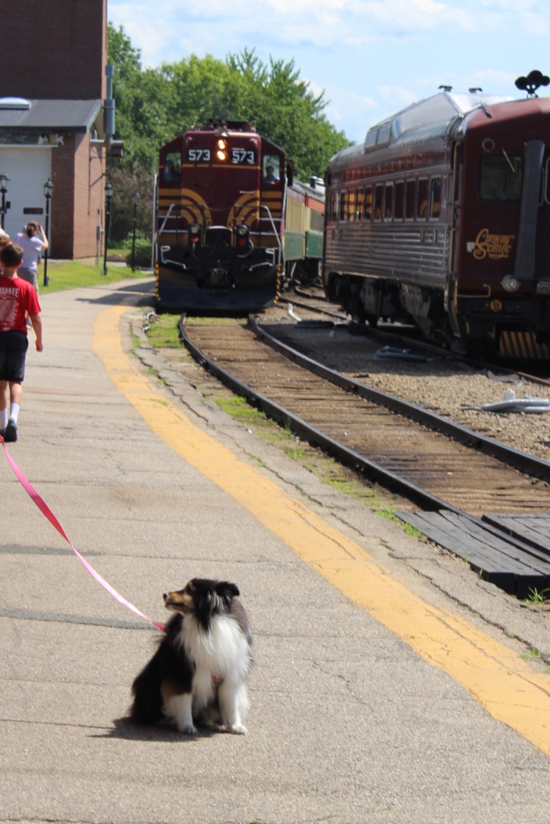 Evan and Lauren's Cool Blog: Conway Scenic Railroad Take a Ride With ...