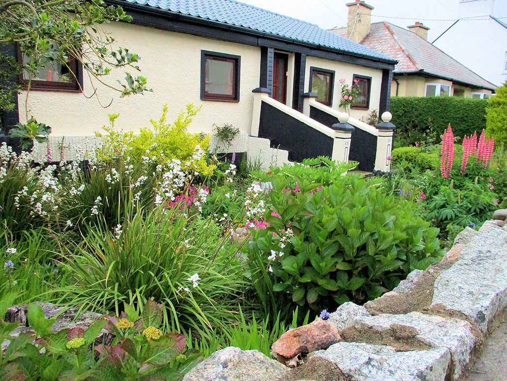 Somewhere in Ireland: garden revisited