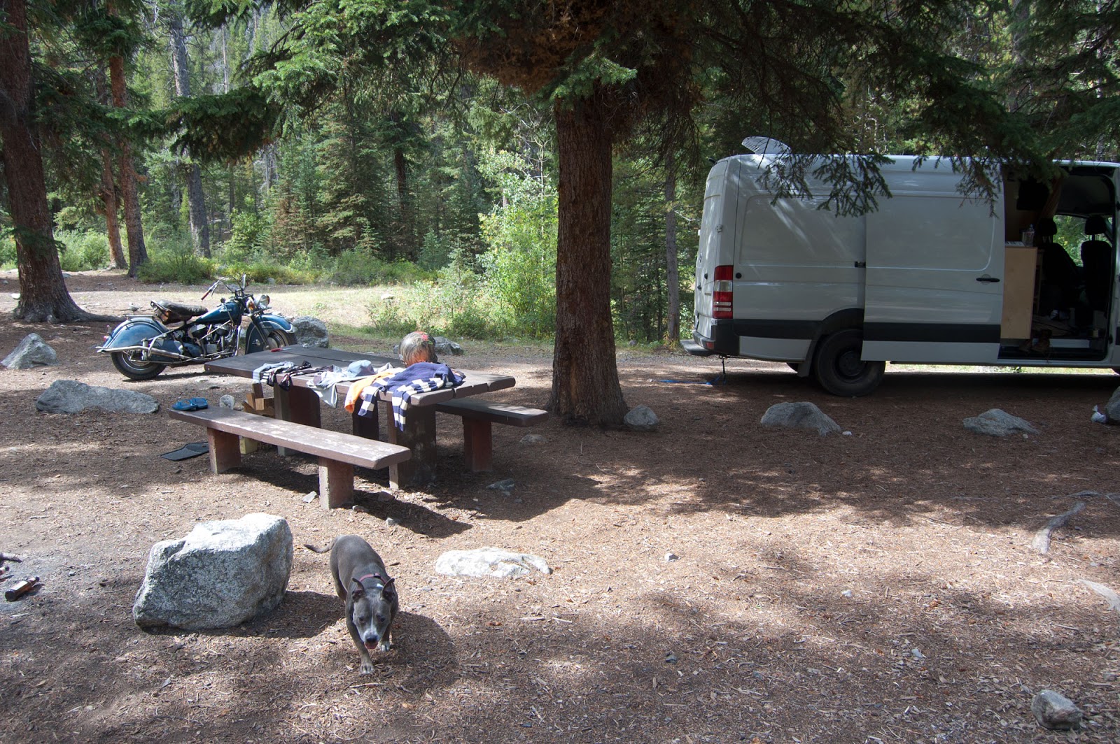 GARBAGE WAGON: THE AMPAL CREATIVE