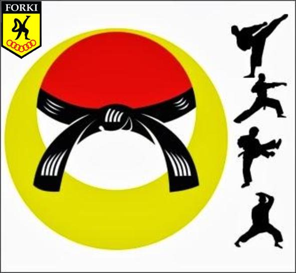 KARATE INKAI LIPPO CIKARANG: Sejarah INKAI - FORKI