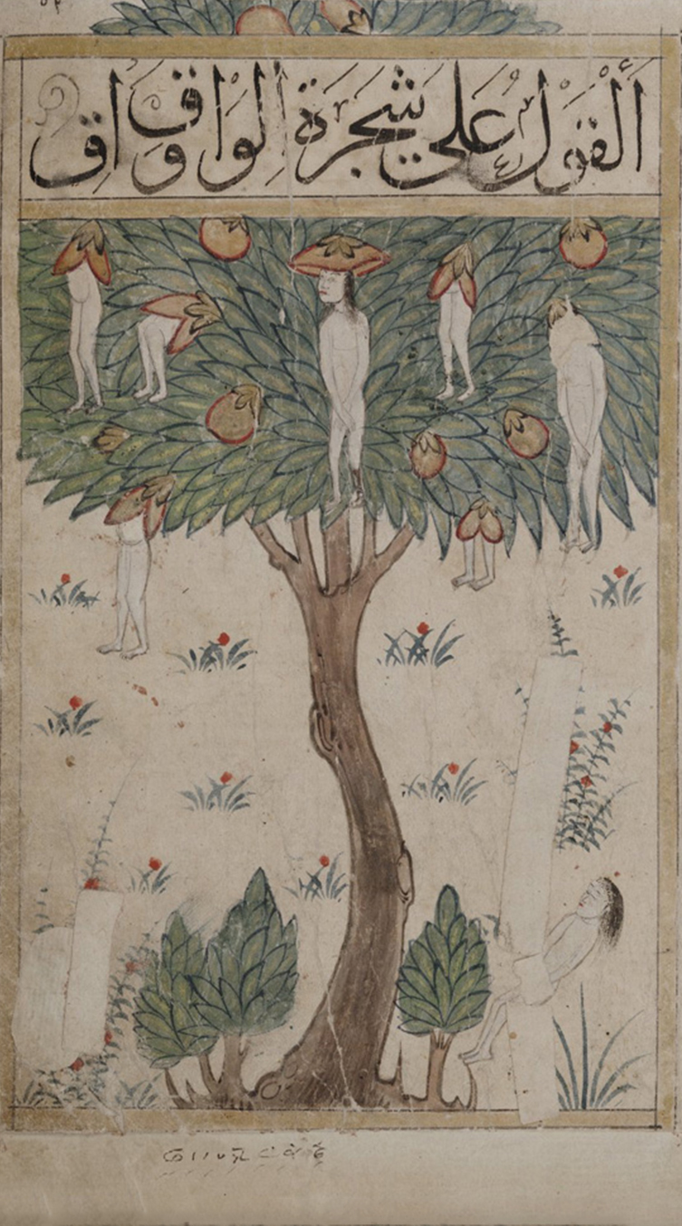 El grimorio de bestias: Árbol wakwak