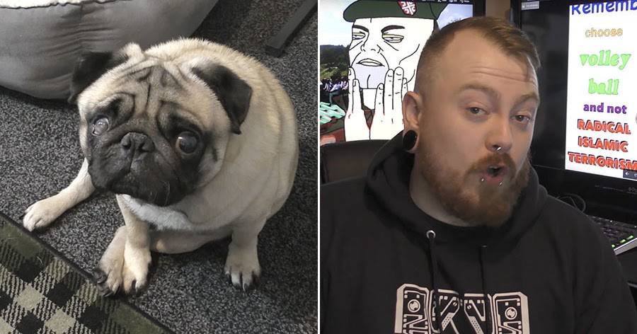 Nazi pug case causes freedom of speech row in parliament - HAPPY ...