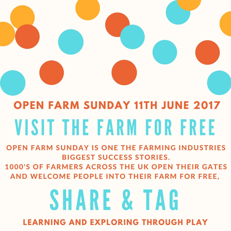 Learning and Exploring Through Play: Open Farm Sunday