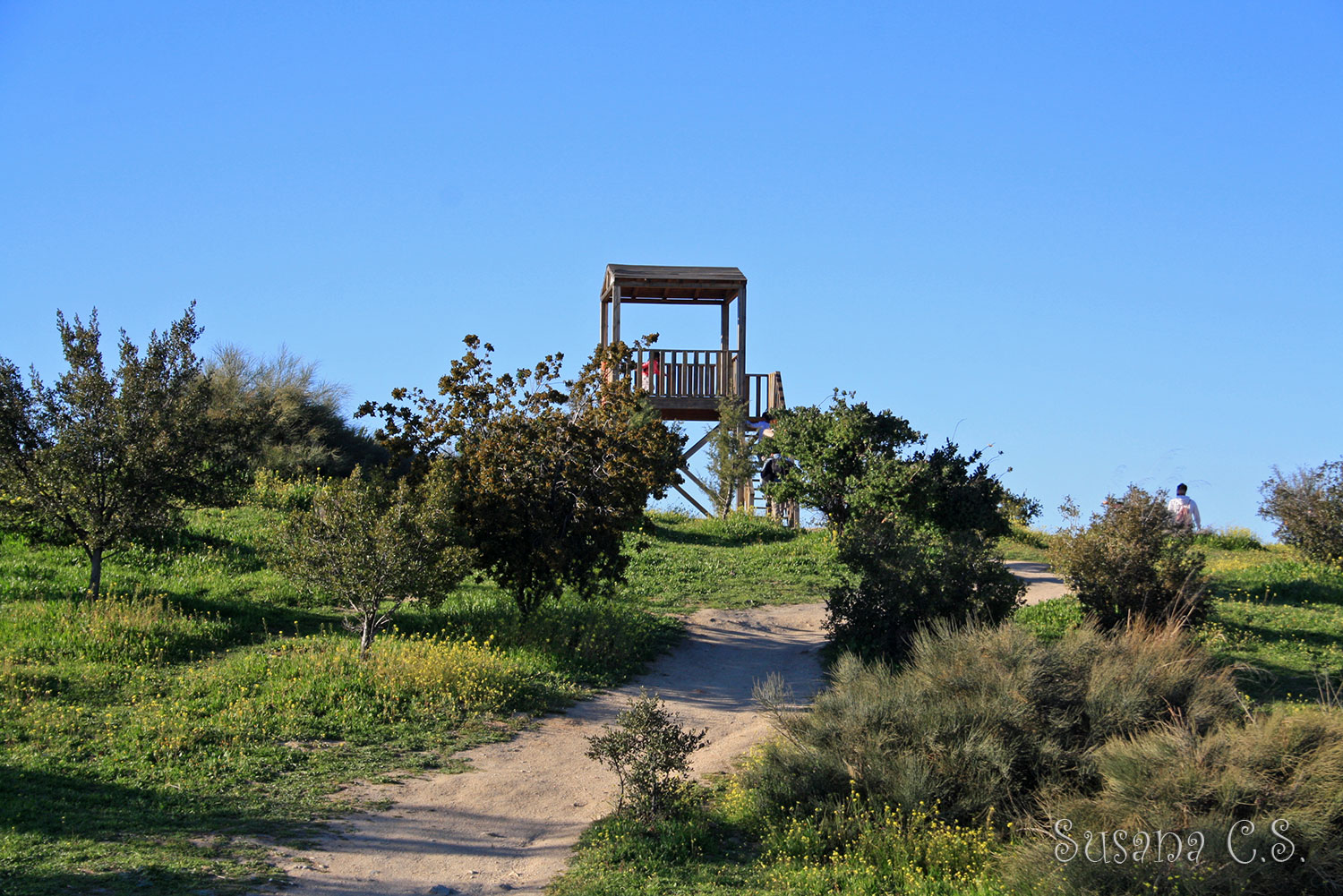 Parque Forestal de Valdebebas - Felipe VI (Madrid)