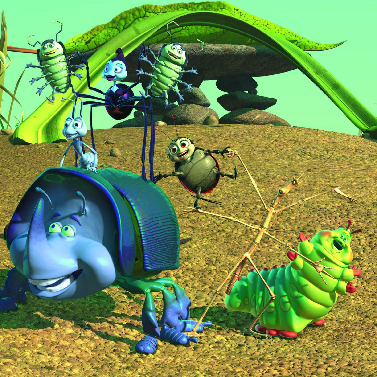 AULA DE 5 AÑOS: BICHOS, BICHOS, BICHOS...