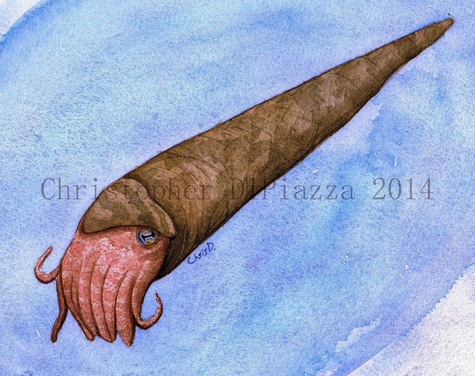 Prehistoric Beast of the Week: Geisonoceras: Prehistoric Animal of the Week