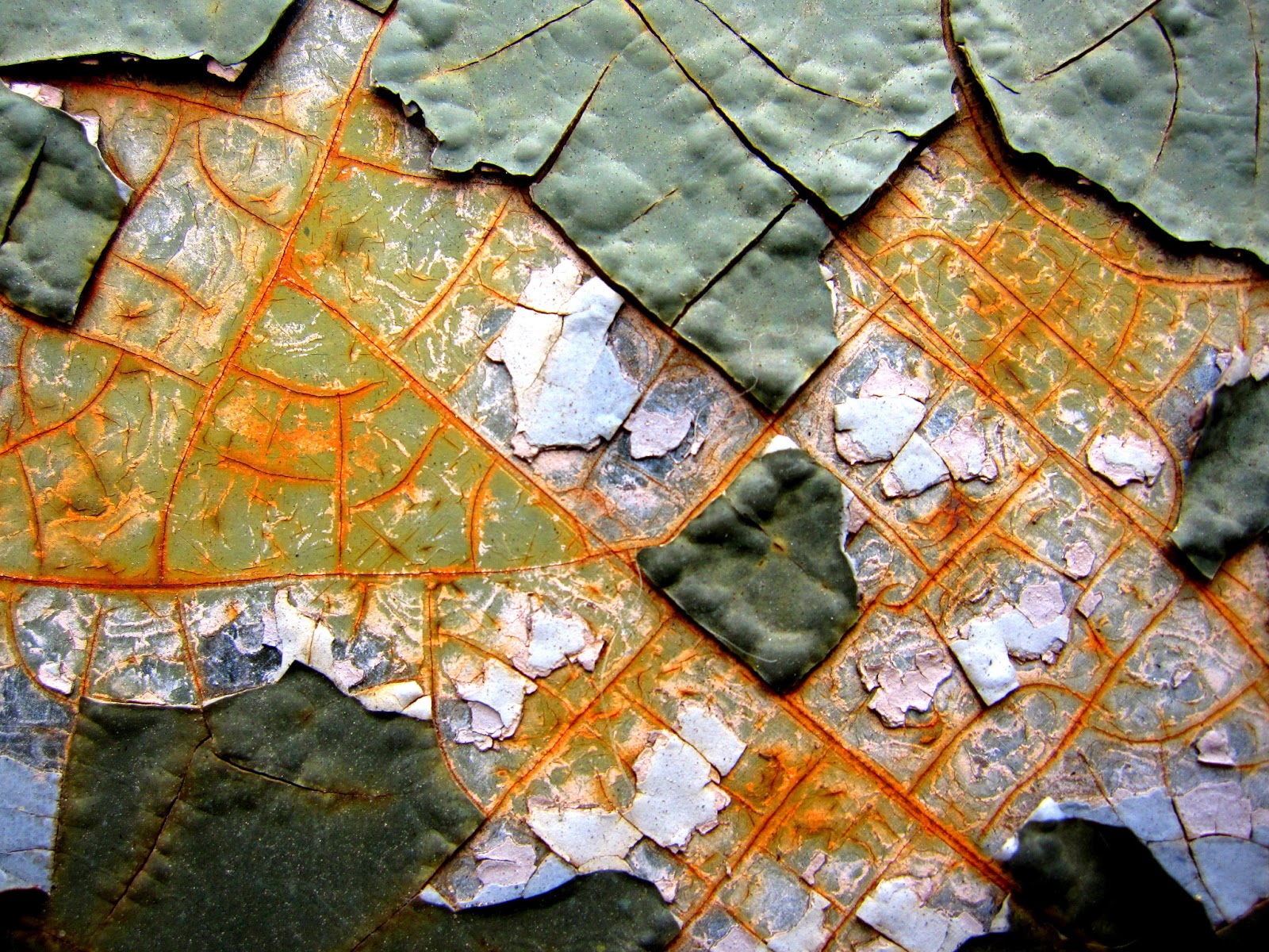 this trinket: Beautiful Decay