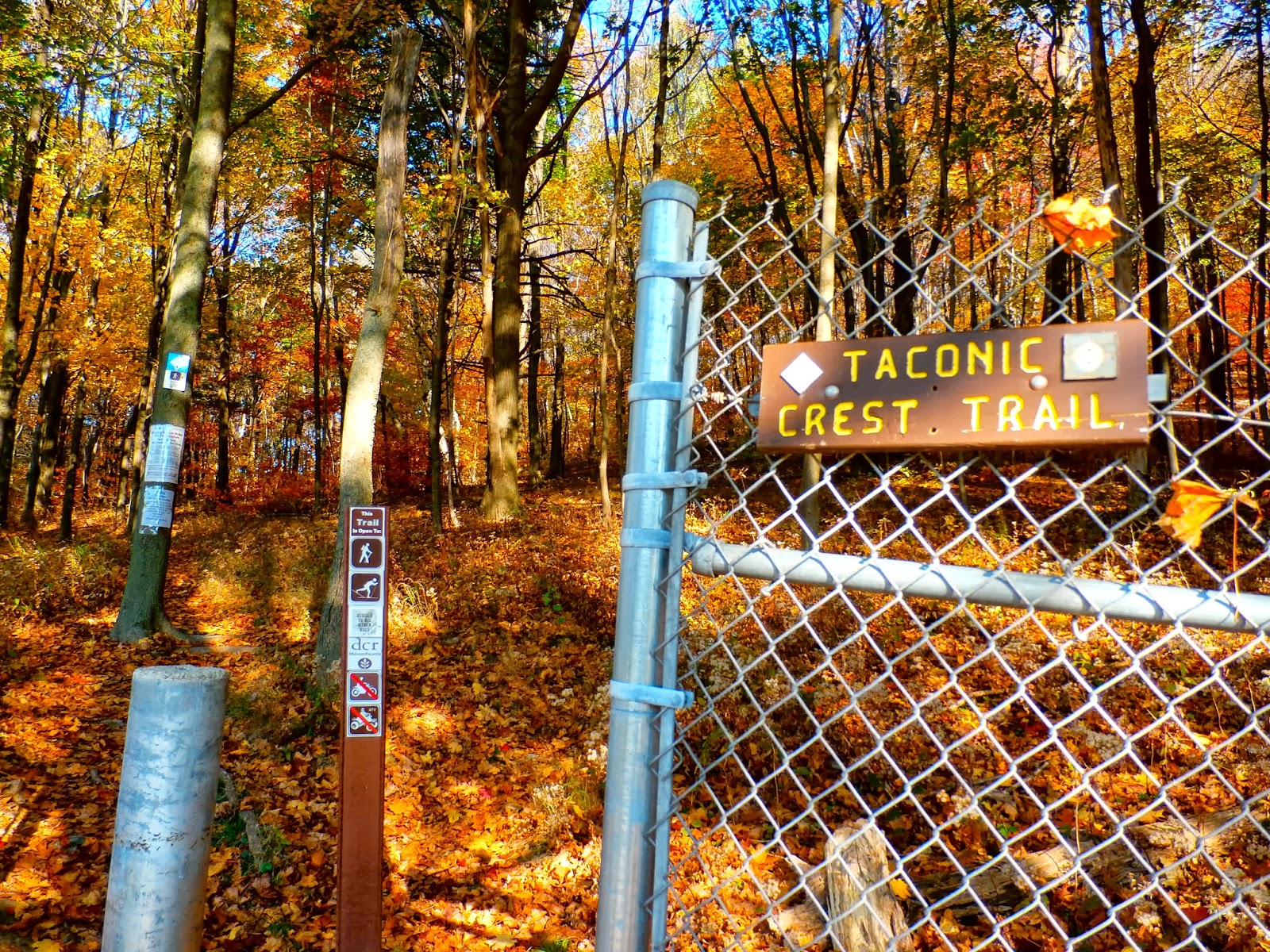 Walking Man 24 7: Twin Ponds-Taconic Crest Trail