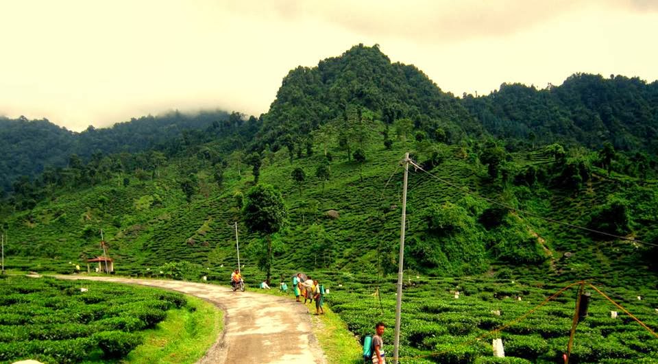 GORUBATHAN Village Tourism: Village Tourism in Gorubathan