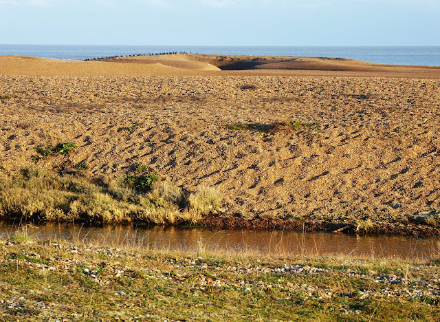 Wild and Wonderful: Shingle Street, a Wild Stretch of Suffolk Coast